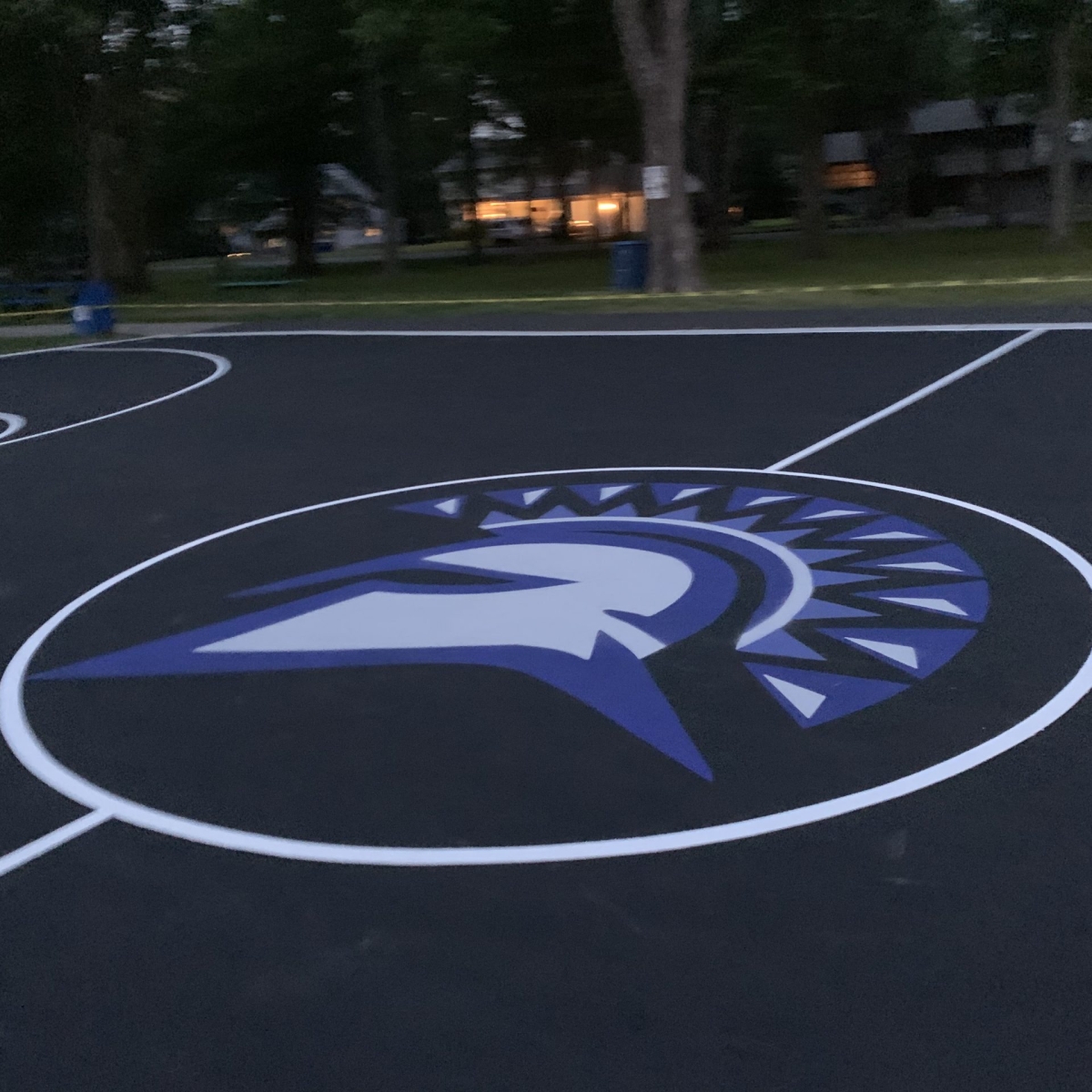 Custom Court Painting